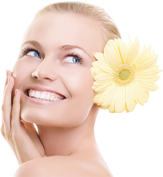 Wealth Skin - New York Cabling - Network Cabling NYC